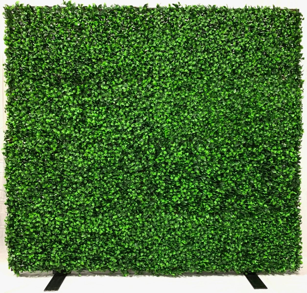 Green wall Backdrop – Simply Chic Events event hire Party Hire